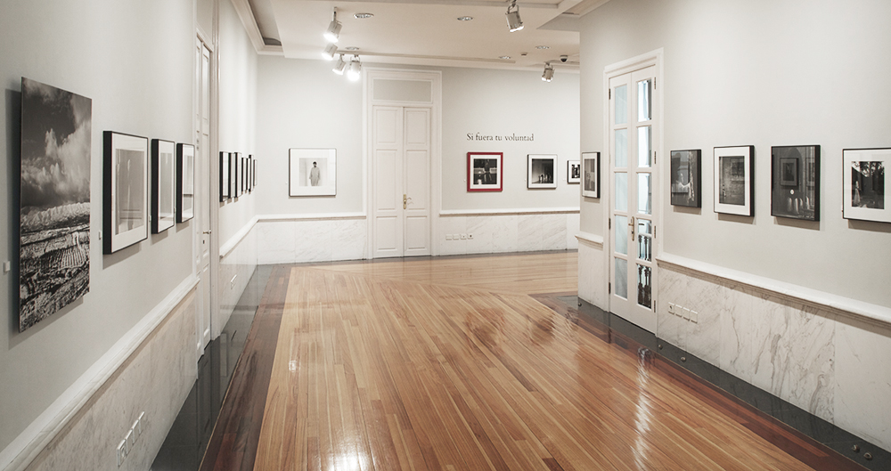 Francesca Phillips Los Canarios - Francesca Phillips